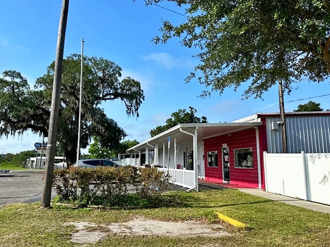 Florida sunshine illuminates this modest building housing extraordinary finds – proving paradise isn't always about palm trees and beaches.