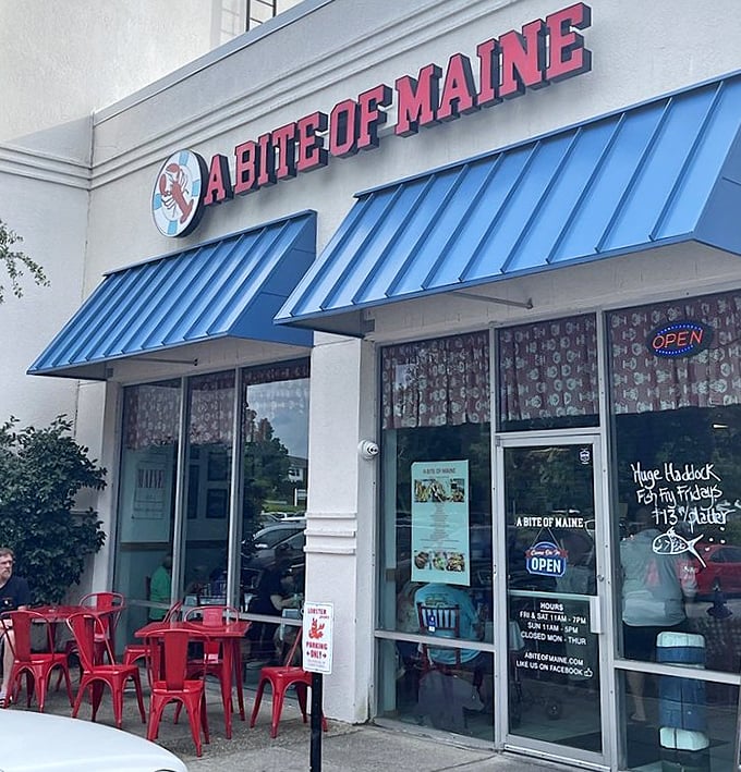 Those red outdoor tables have hosted countless seafood epiphanies. "I never knew lobster could taste this good" is frequently overheard here.