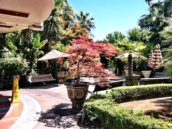 The outdoor garden patio feels like you've stumbled into a secret botanical paradise—a tropical oasis where breakfast dreams come true.