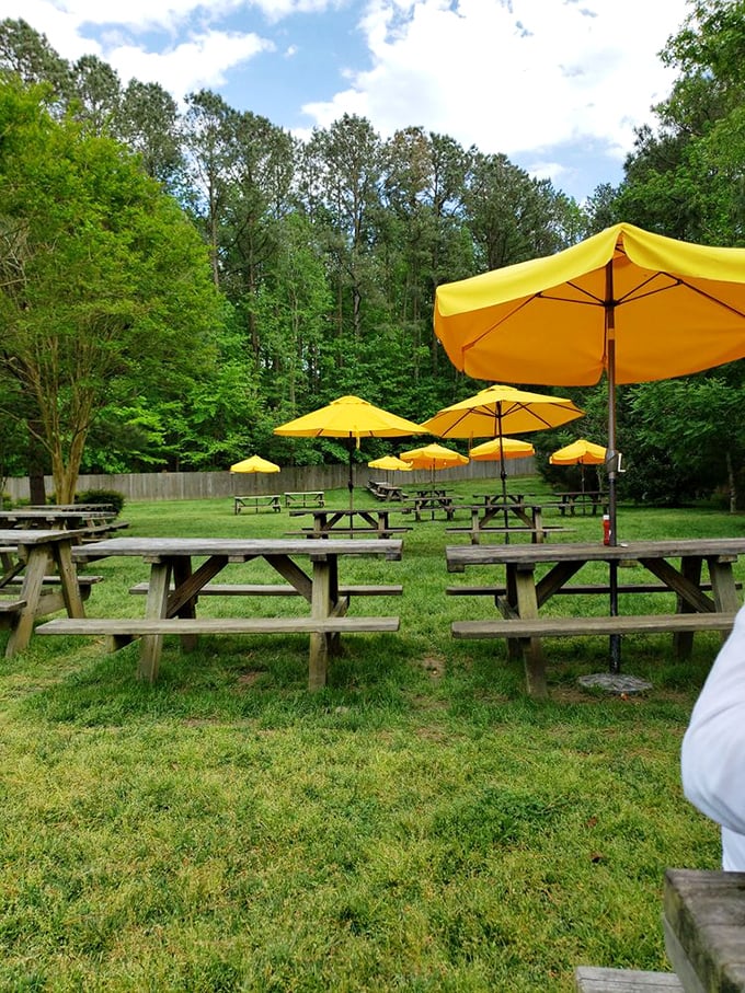 Yellow umbrellas dot the outdoor seating area like dandelions, offering shade for the sacred ritual of enjoying barbecue in the Virginia sunshine.