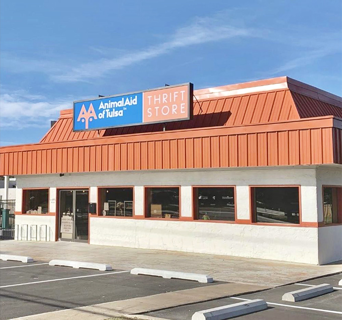 Morning light catches the iconic blue and orange signage, promising a day of discovery. This building houses more than bargains—it houses hope.