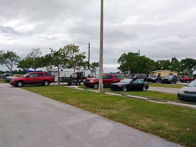 The parking lot – final resting place of good intentions to "just browse" and birthplace of the phrase "we're going to need a bigger car."