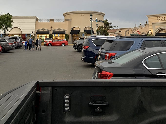 The parking lot at dusk—where shoppers return, bags in hand, wallets lighter, but spirits lifted by the thrill of scoring incredible deals.