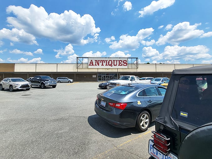 Cars from across the Carolinas fill this lot, their owners inside hunting for that one perfect find.