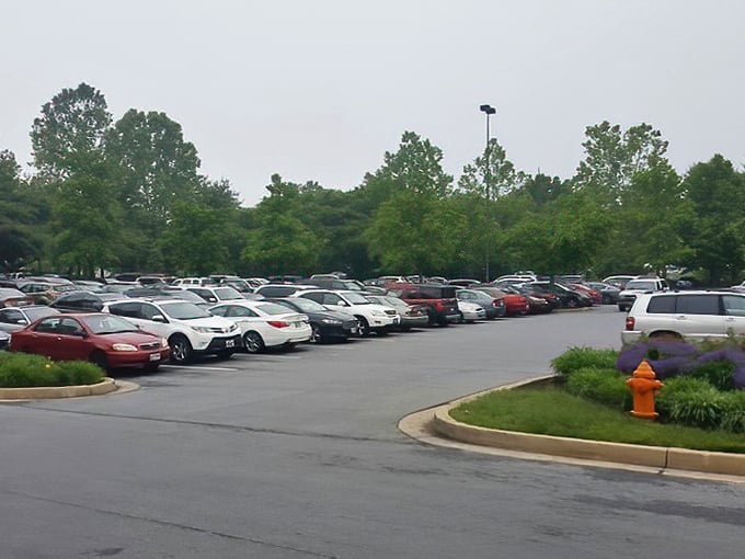 The parking lot – final resting place for shopping carts and first glimpse of what awaits inside. Those cars hold empty trunks... for now.