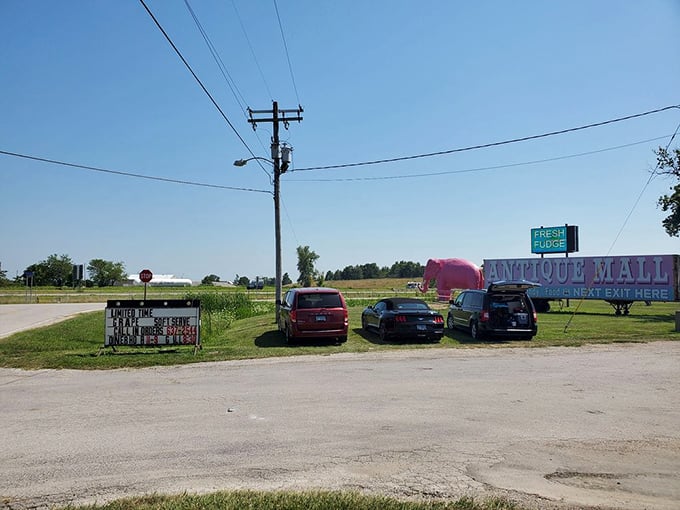 Even the roadside view promises pink elephant sightings ahead. The best attractions always make you wonder if your eyes are playing tricks.