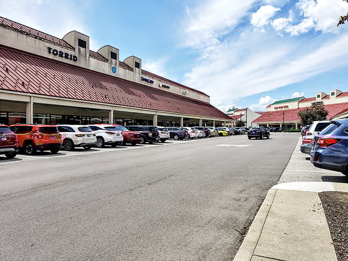 The parking lot – final battlefield of the shopping expedition where victorious bargain-hunters return, arms laden with the spoils of retail warfare.