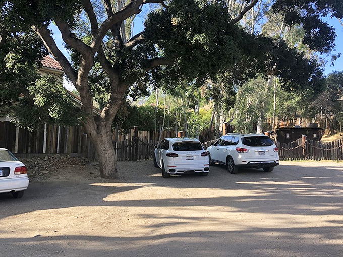 Under dappled oak shade, the parking area welcomes vehicles from work trucks to luxury SUVs—good taste knows no socioeconomic boundaries.