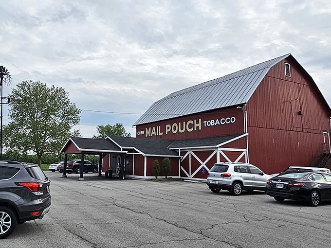 The parking lot tells the story—cars from counties near and far, all drawn by the magnetic pull of exceptional food in unassuming surroundings.