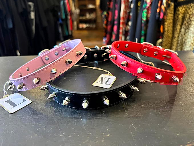 Dog collars that make a statement or fashion accessories for humans? In the world of Thrift Witch, the answer is confidently "why not both?"
