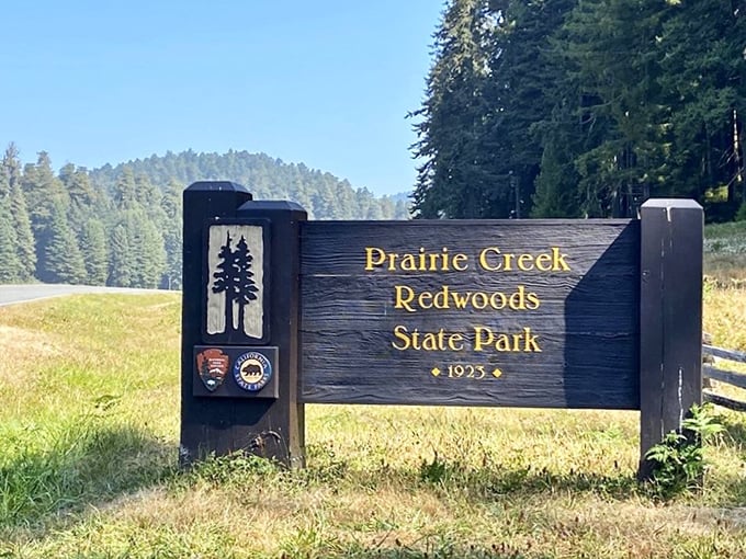The welcoming sign to Prairie Creek Redwoods State Park – where 14,000 acres of natural wonder have been patiently waiting for your arrival since 1923.