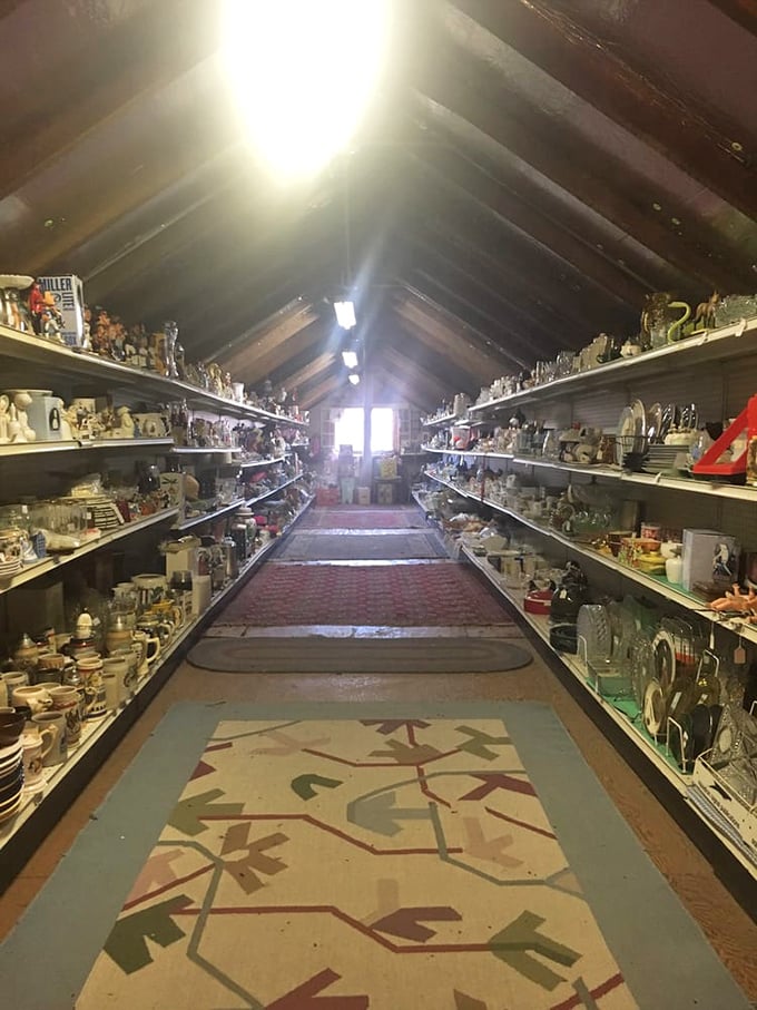 The cathedral of collectibles—where shelf after shelf of treasures await adoption by the right nostalgic soul with available display space.