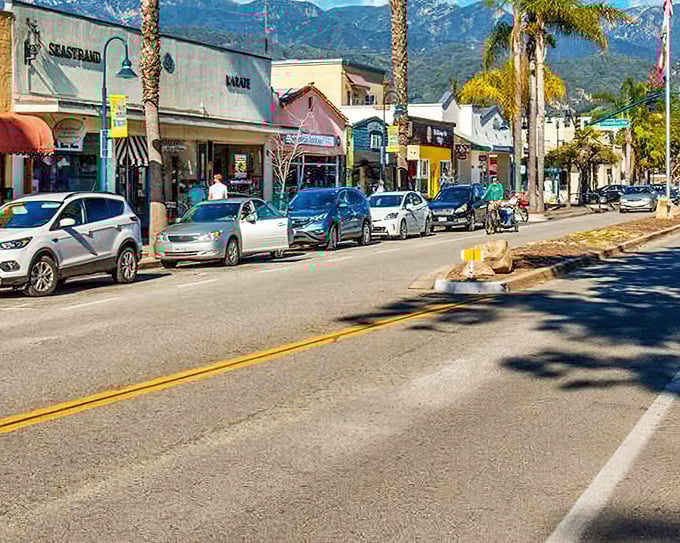 Downtown Carpinteria offers the increasingly rare sight of local businesses thriving together. No cookie-cutter chain stores here – just authentic shops with owners who remember your name.
