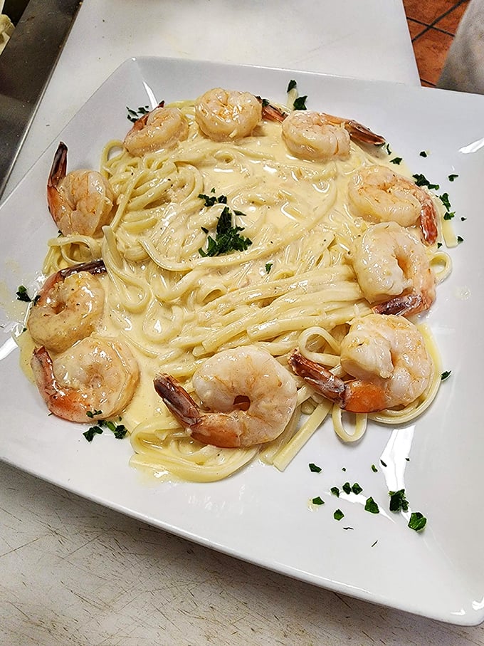 Shrimp Alfredo that would make Neptune jealous—plump shrimp nestled in pasta ribbons swimming in creamy, garlicky bliss.