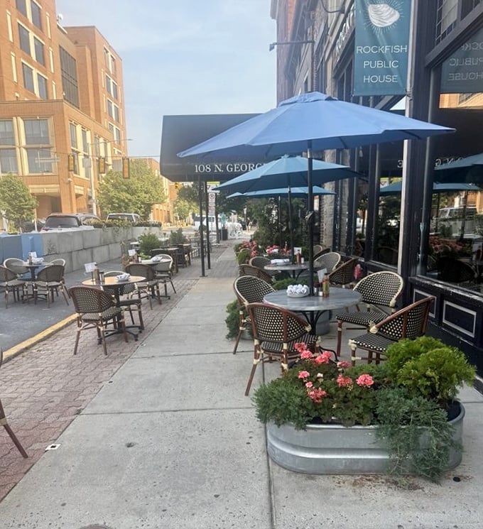 Sidewalk dining that transforms North George Street into a European-style café experience, complete with flower box charm.