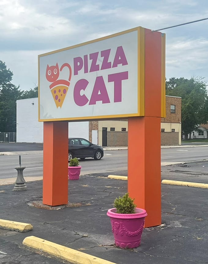 The Pizza Cat sign stands tall and proud, featuring a cartoon cat perched on a pizza slice—a whimsical promise of the feline-level curiosity about flavors waiting inside.
