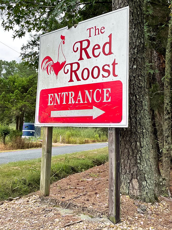 Follow this sign like it's the North Star of your hunger journey. The arrow points to happiness, with a side of hush puppies.