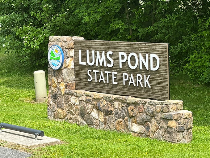 The stone-and-wood welcome mat to Delaware's liquid heart. First impressions matter, and this one promises adventure without saying a word.