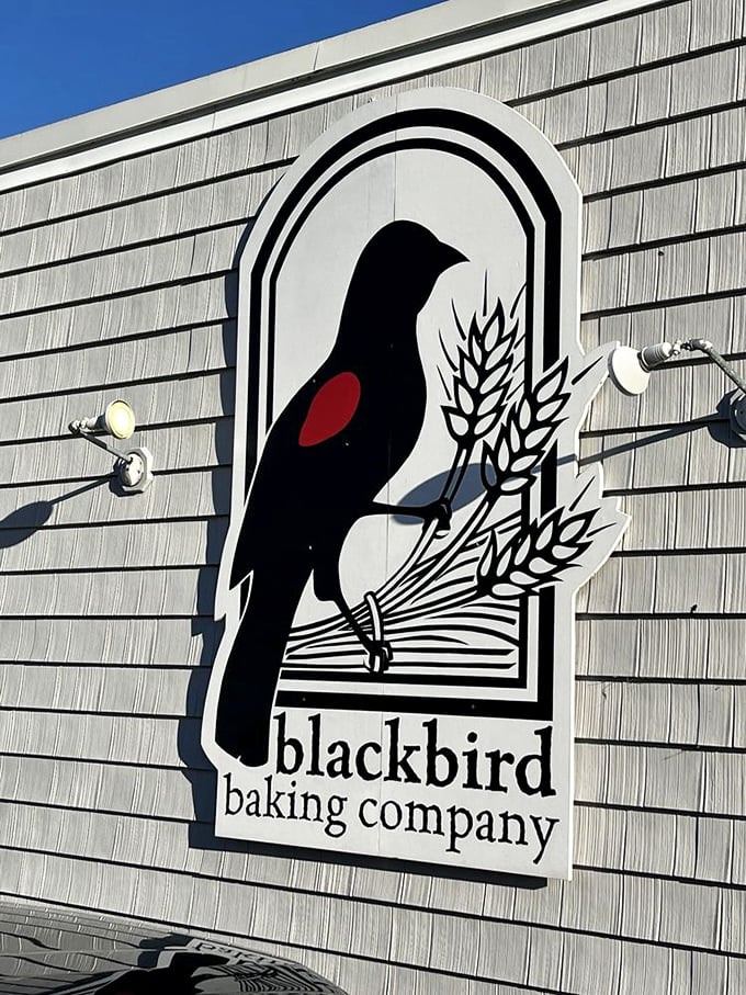 The Blackbird logo tells you everything you need to know—this place respects tradition while adding its own distinctive song to the chorus.