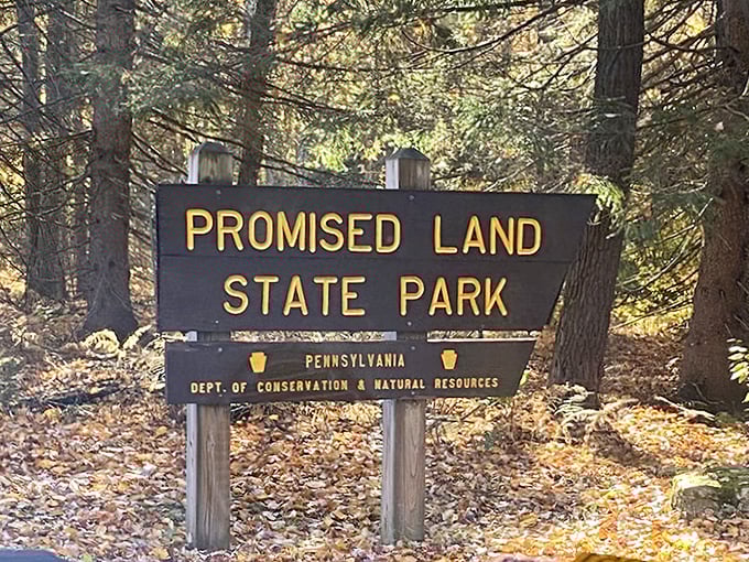 The entrance sign that promises exactly what it delivers—a land of natural wonders. Your official invitation to leave the digital world behind.