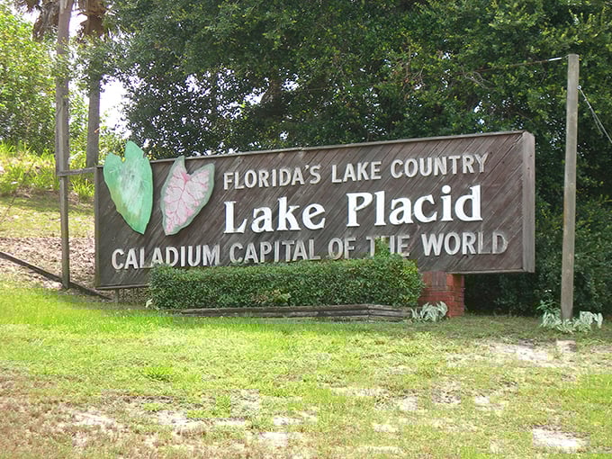 The sign says "Caladium Capital," but locals know it's really the capital of reasonable living and unreasonable natural beauty.
