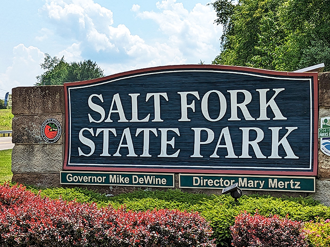 The entrance sign stands as the official gateway to adventure, promising memories that won't require a password to access later.