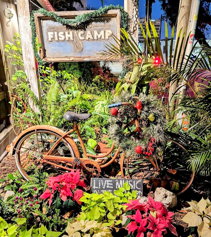A weathered sign nestled among tropical foliage and a rusty bicycle – the perfect introduction to a place that values character over polish.