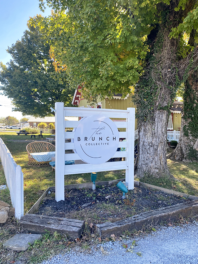 The sign stands sentinel beneath a grand old tree, marking the spot where brunch dreams come true in Spring Hill.