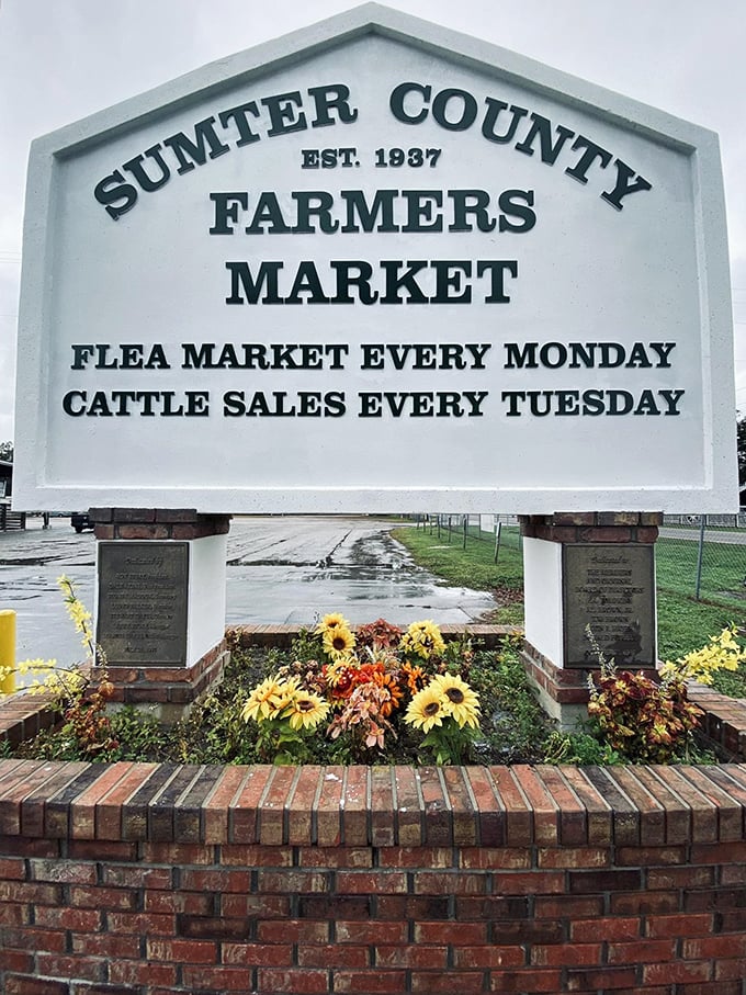 The market's sign tells the story: established 1937, offering flea market Mondays and cattle sales Tuesdays—a Florida institution carved in stone.