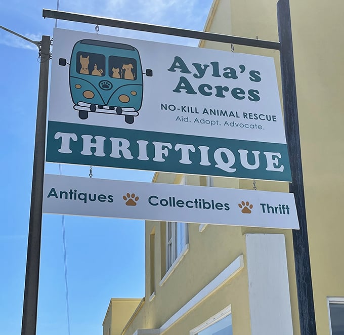 The street-facing sign proudly announces the trifecta of treasures within: antiques, collectibles, and thrift – all supporting four-legged friends in need.