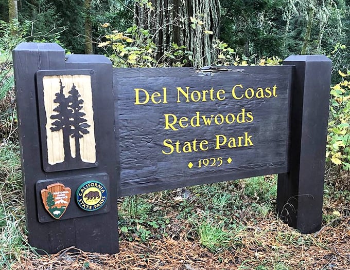 The park's entrance sign welcomes you to a world where time moves at redwood pace.