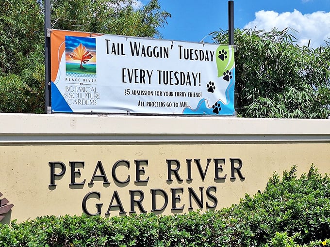 Tuesdays have gone to the dogs in the best possible way—proving that gardens are even better when shared with four-legged friends.