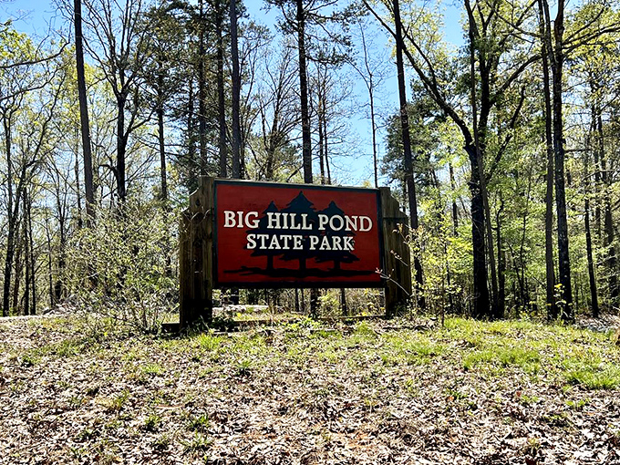 The entrance sign stands like a promise of what's to come—a red herald announcing you've officially left your worries at the county line.