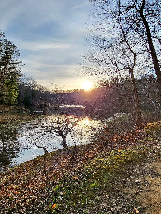 Sunset casts golden light across the water – that magical moment when you realize your phone battery died hours ago and you couldn't care less.