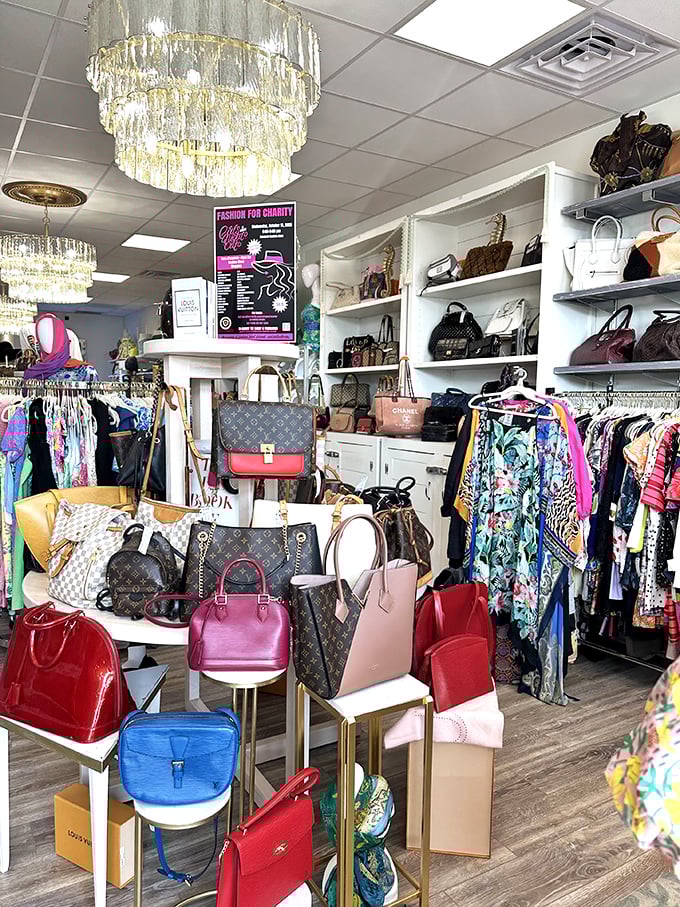 A chandelier casting magical light over fashion finds that prove luxury can be surprisingly accessible.