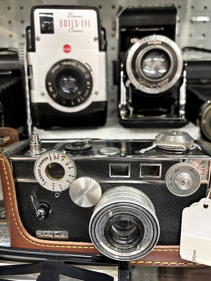 These vintage cameras aren't just photographic relics—they're mechanical marvels that captured countless first steps, wedding days, and family vacations long before selfies existed.