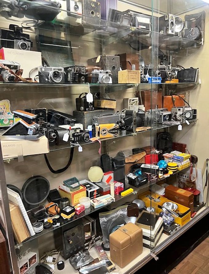 A photographer's dream – vintage cameras that captured moments long before Instagram filters were even a twinkle in a developer's eye.