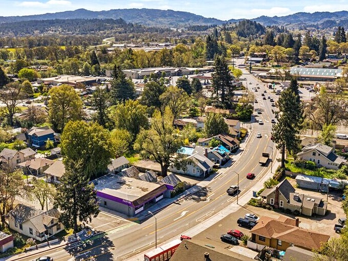 From above, Willits reveals itself as a perfect patchwork of homes, businesses, and nature—small-town living with room to breathe.