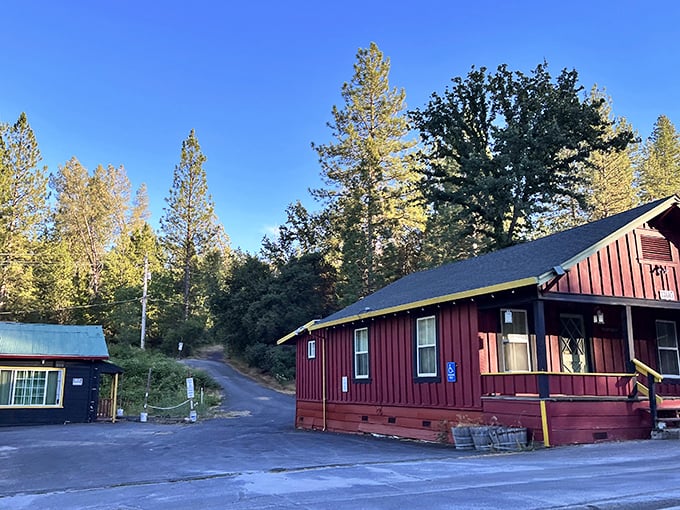 Simple red cabins tucked among towering pines—the kind of place Thoreau would have booked if Walden Pond had decent Wi-Fi.