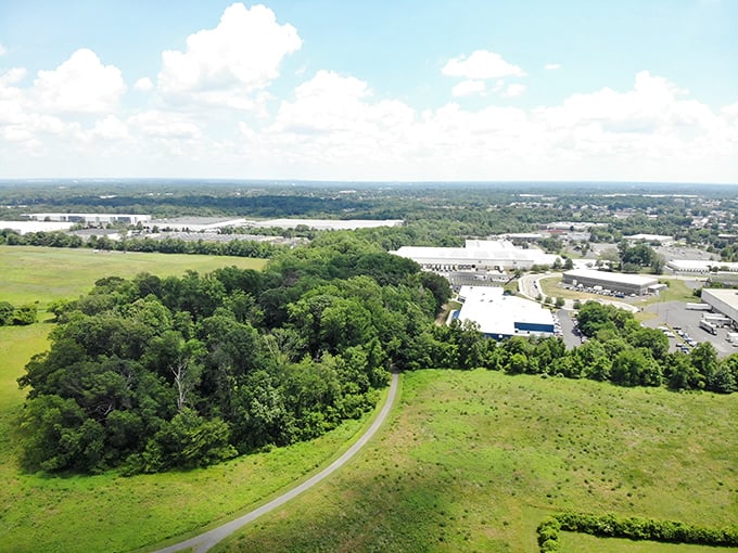 From above, the park reveals its true character – an emerald oasis surrounded by Philadelphia's urban landscape.