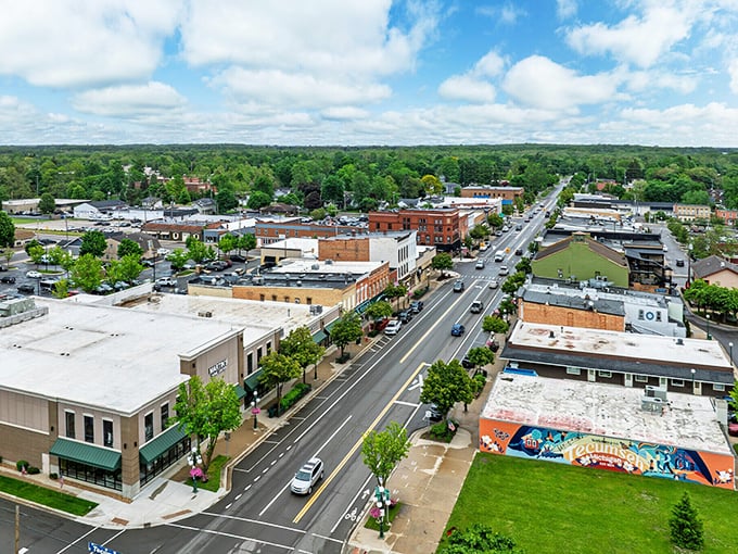 From above, Tecumseh reveals its perfect proportions—a downtown core surrounded by neighborhoods and then embraced by Michigan's lush countryside.