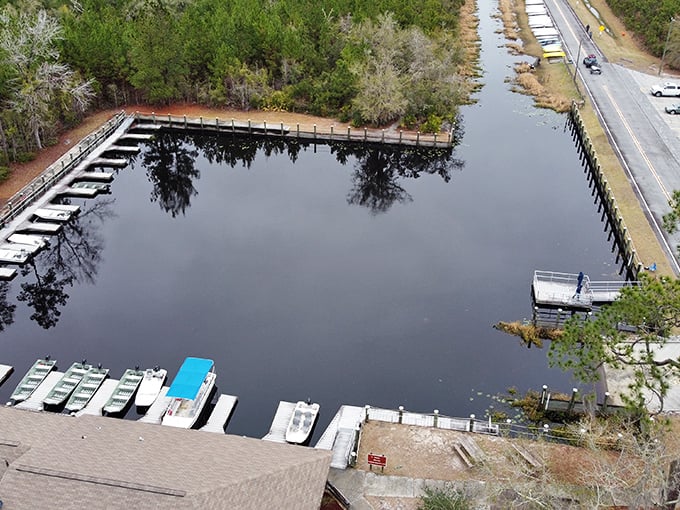 Bird's-eye view of adventure central—where boats line up like eager puppies waiting for their chance to explore the watery wilderness.