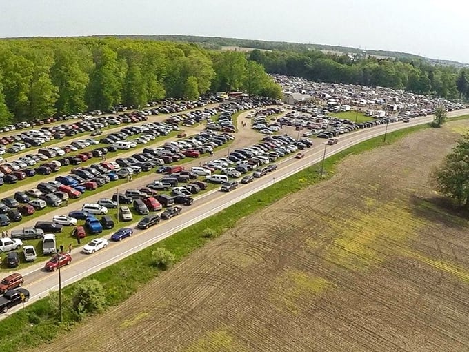 From above, the true scale of treasure-hunting madness reveals itself—a small city of cars converging on what locals know is worth the drive.