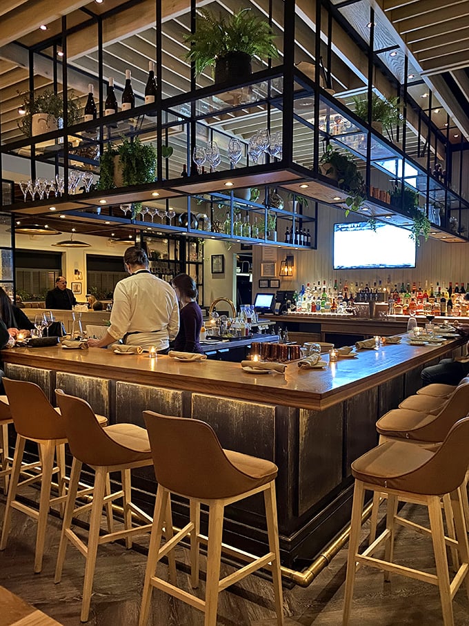 The bar's suspended shelving creates a floating garden effect, as if your Negroni should naturally be served beneath herbs.