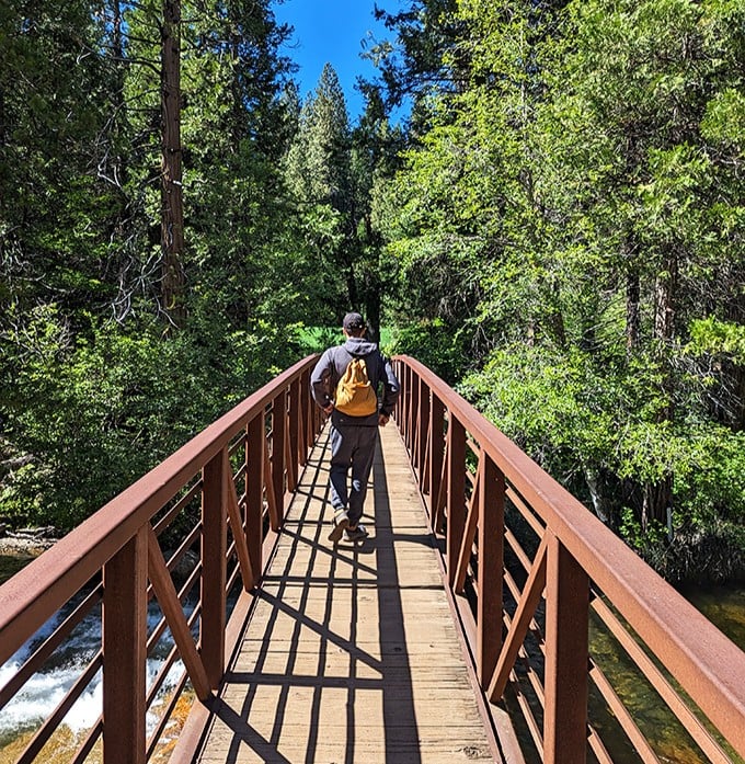 Cross this bridge and you're literally walking into a forest that predates most of human civilization.