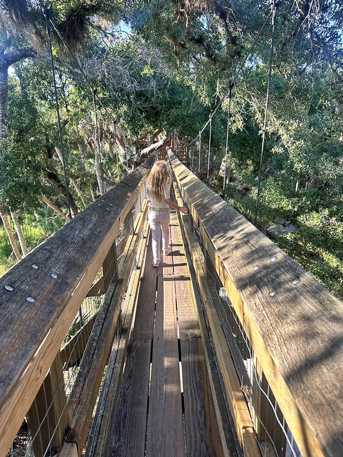 The canopy walkway suspends you between earth and sky, offering a squirrel's-eye view of Florida's wild heart beating below.