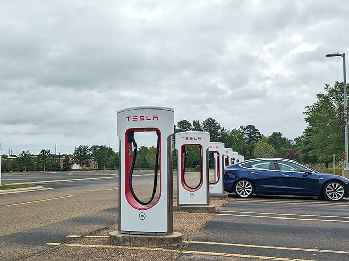 Forward-thinking amenities include Tesla charging stations—shop for the future while your car prepares for the drive home.