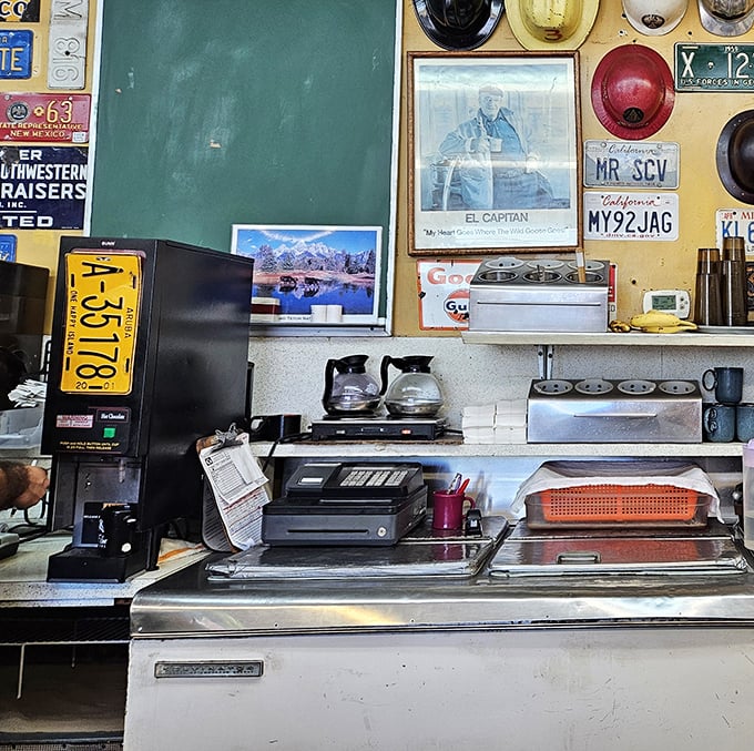 The cashier station surrounded by more license plates than a DMV, but infinitely more charming. Each one tells a story of travelers who found their way here.