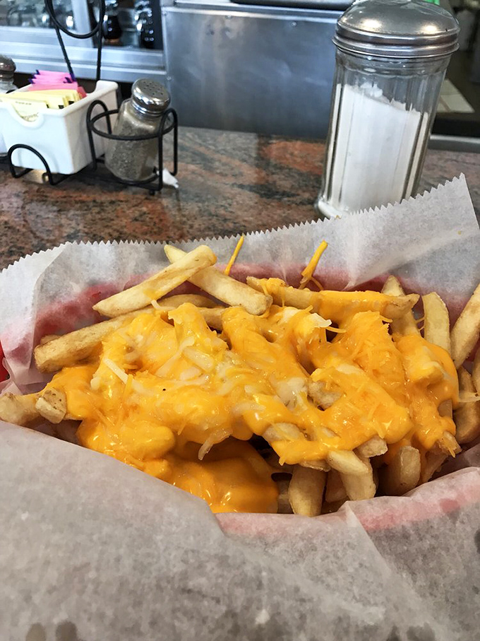 Cheese fries that don't pretend to be anything but what they are—a glorious, melty indulgence that makes no apologies for its simple perfection.