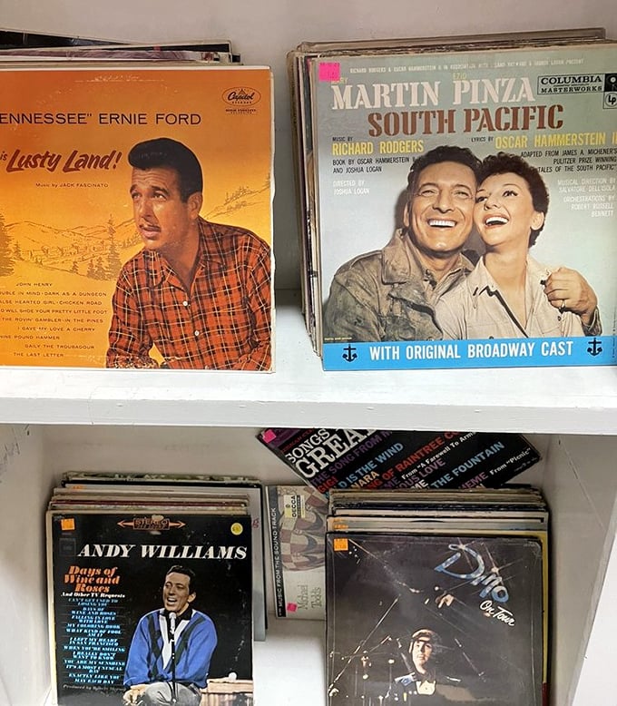 Album covers that double as time machines. That Andy Williams record? It's your grandmother's playlist with unexpected hipster cred.